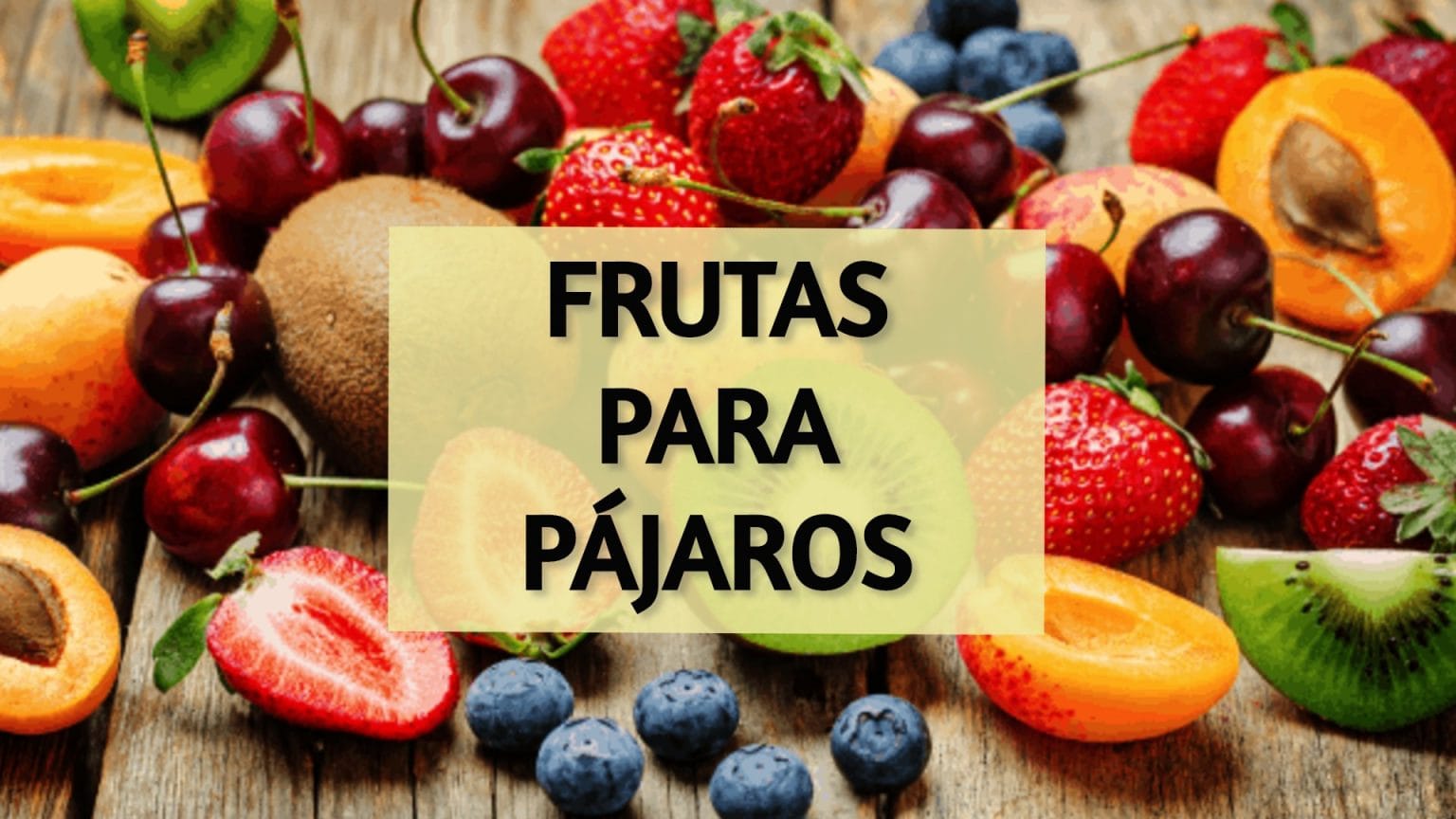 ¿QUÉ VERDURAS PUEDEN COMER LOS PÁJAROS? ️ AviarioJP